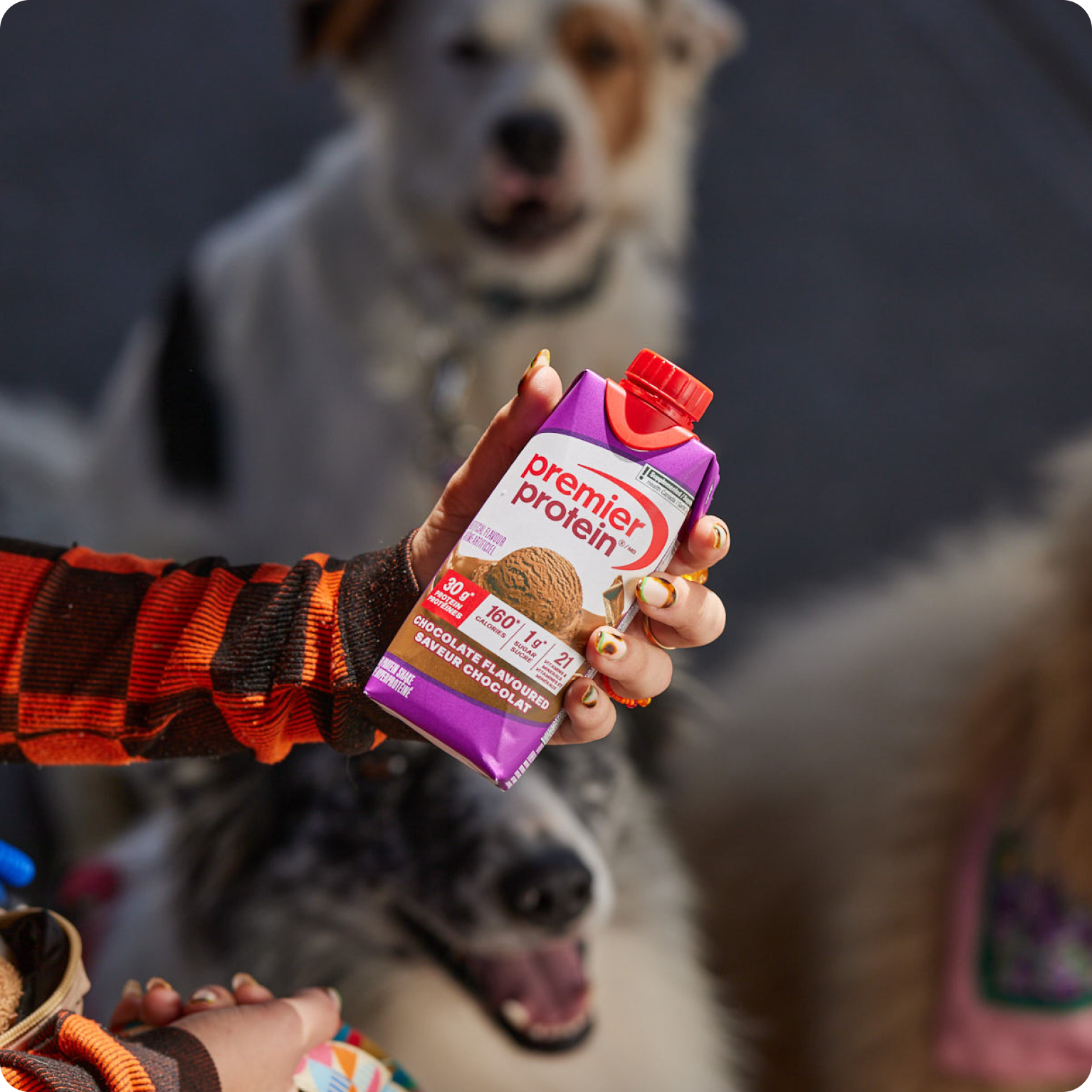 Our Protein Shakes | Premier Protein